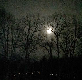 Blog | Jeanne Mayell | Prophecy, Peace, and Tarot Wisdom
